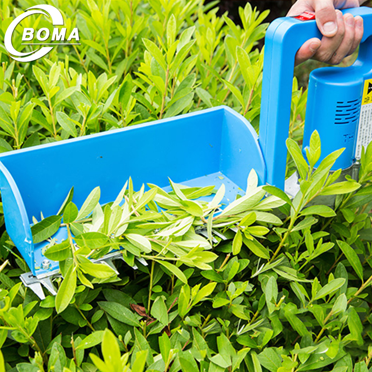 Battery Powered Tea Plucking Machines Made by BOMA - BOMA Garden Tools